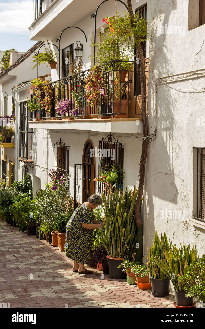 GARTENARBEIT UND PFLEGE DER BLUMEN UND PFLANZEN IN DER ALTSTADT VON ...