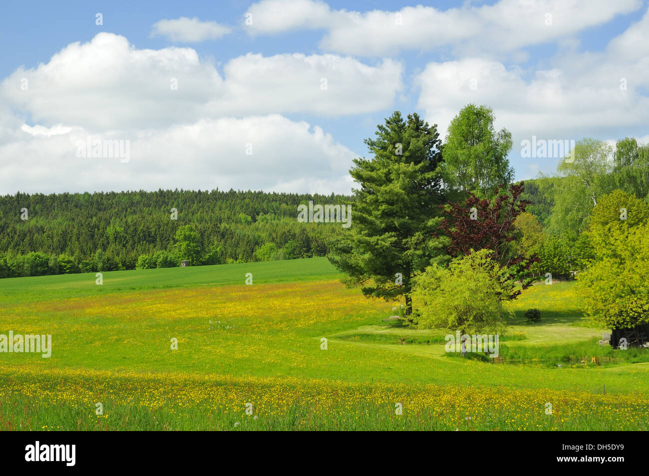 Sächsische oberlausitz -Fotos und -Bildmaterial in hoher Auflösung – Alamy