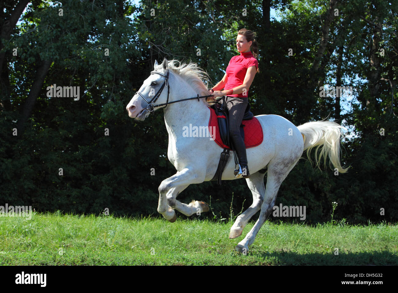 Junge frau gallop wald -Fotos und -Bildmaterial in hoher Auflösung – Alamy
