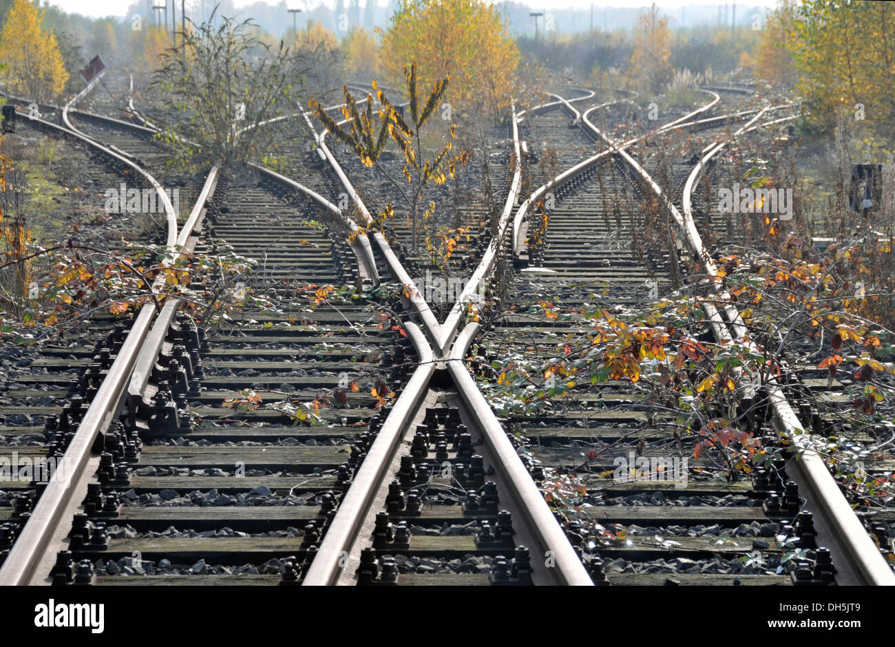Bahngleise, verlassenen Rangierbahnhofs in Duisburg Wedau, einer ...