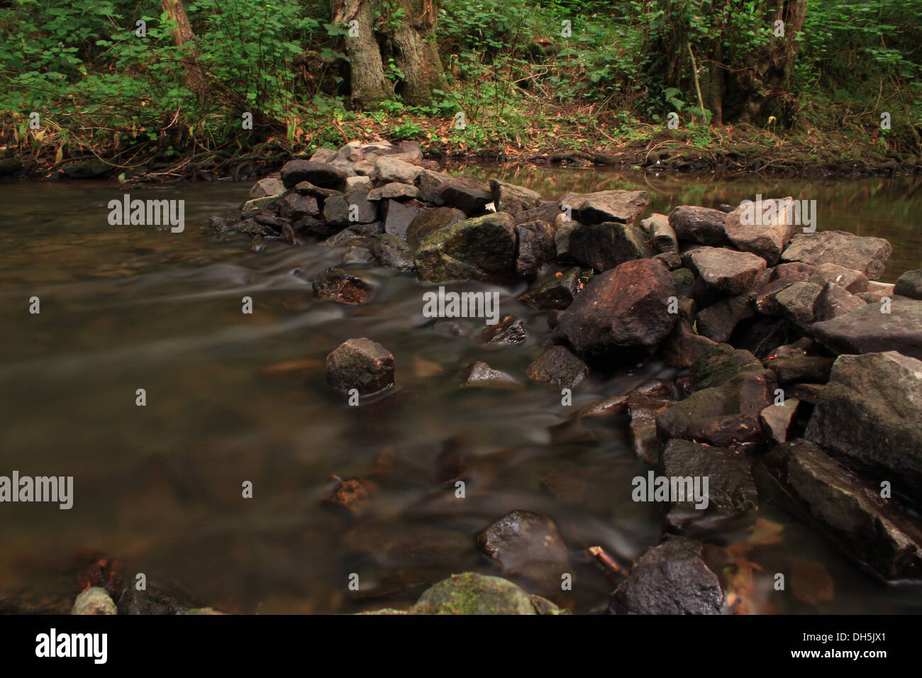 Leigh sinton -Fotos und -Bildmaterial in hoher Auflösung – Alamy