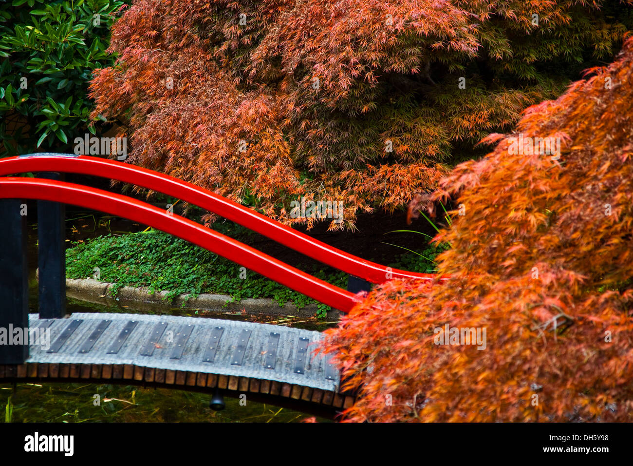Park und tilford garten -Fotos und -Bildmaterial in hoher Auflösung – Alamy