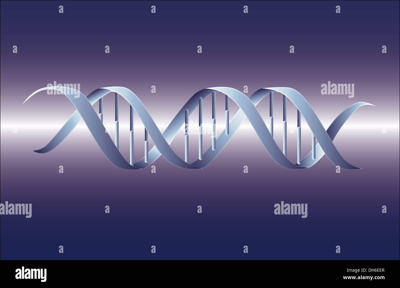 Dna genetik s -Fotos und -Bildmaterial in hoher Auflösung – Alamy