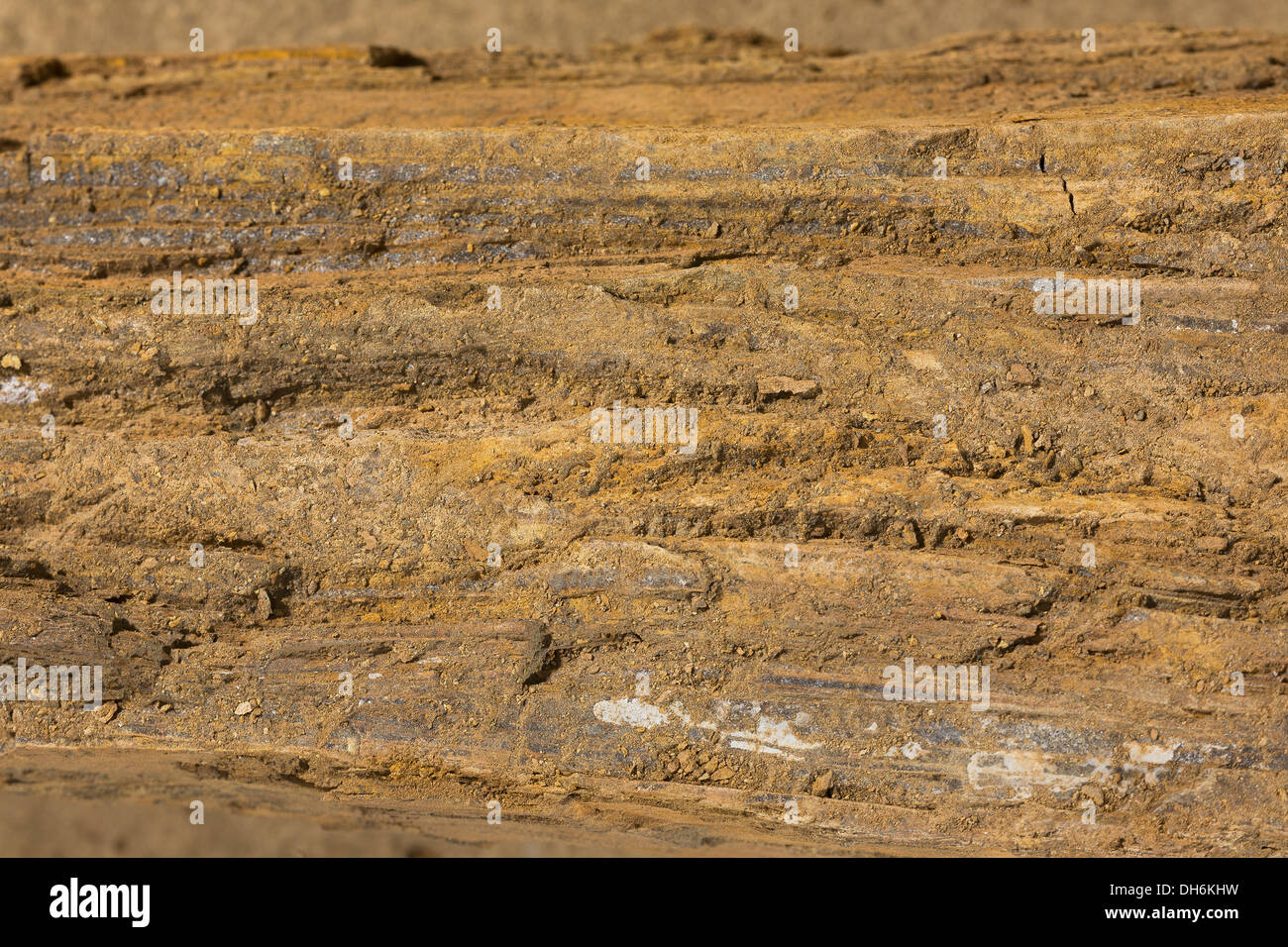 Gold erkunden -Fotos und -Bildmaterial in hoher Auflösung – Alamy