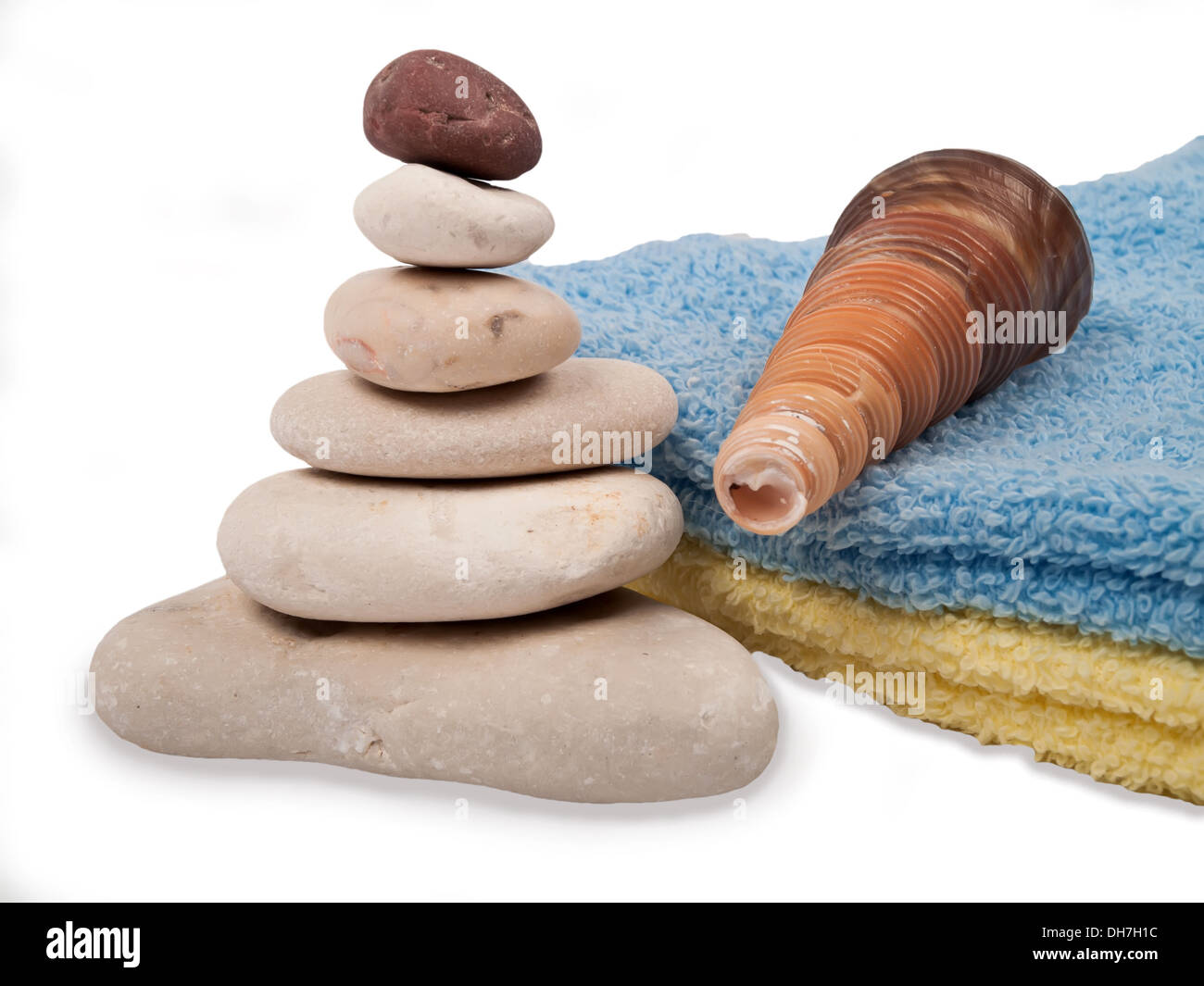 Muschel wie stein -Fotos und -Bildmaterial in hoher Auflösung – Alamy