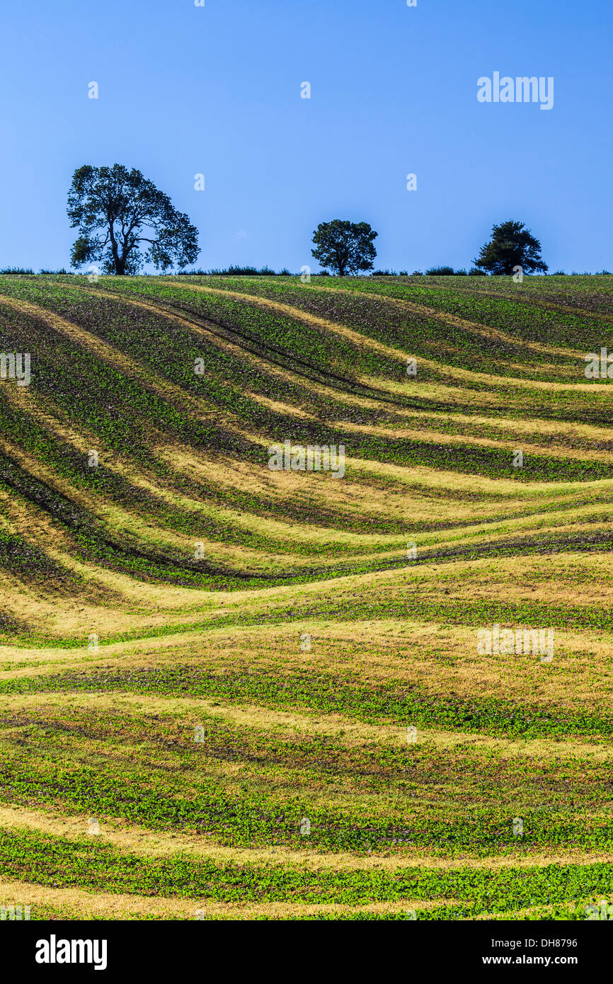Furchen in einem feld -Fotos und -Bildmaterial in hoher Auflösung – Alamy