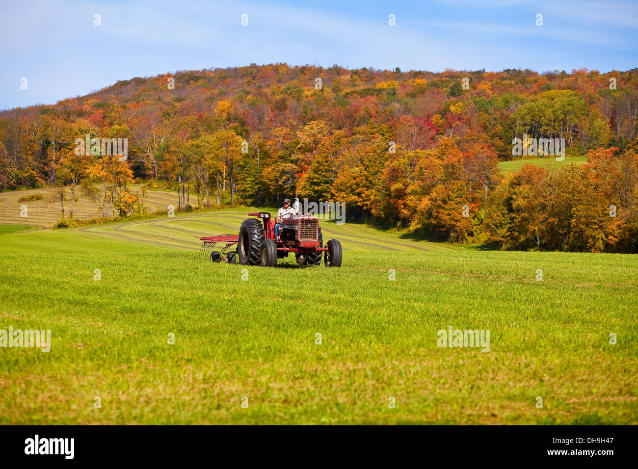 Traktor auf der farm -Fotos und -Bildmaterial in hoher Auflösung – Alamy