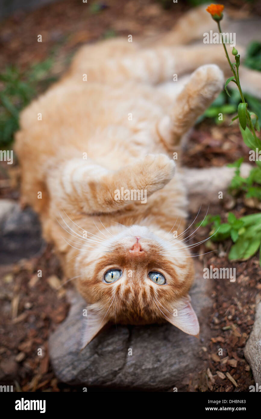 One of us is lying -Fotos und -Bildmaterial in hoher Auflösung – Alamy