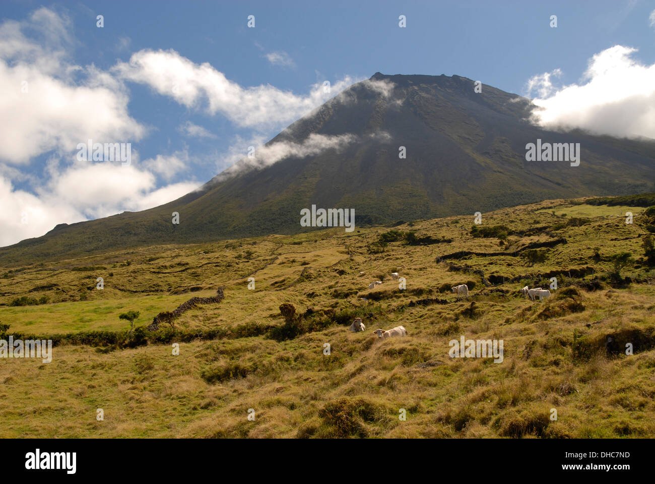 Pico island -Fotos und -Bildmaterial in hoher Auflösung – Alamy