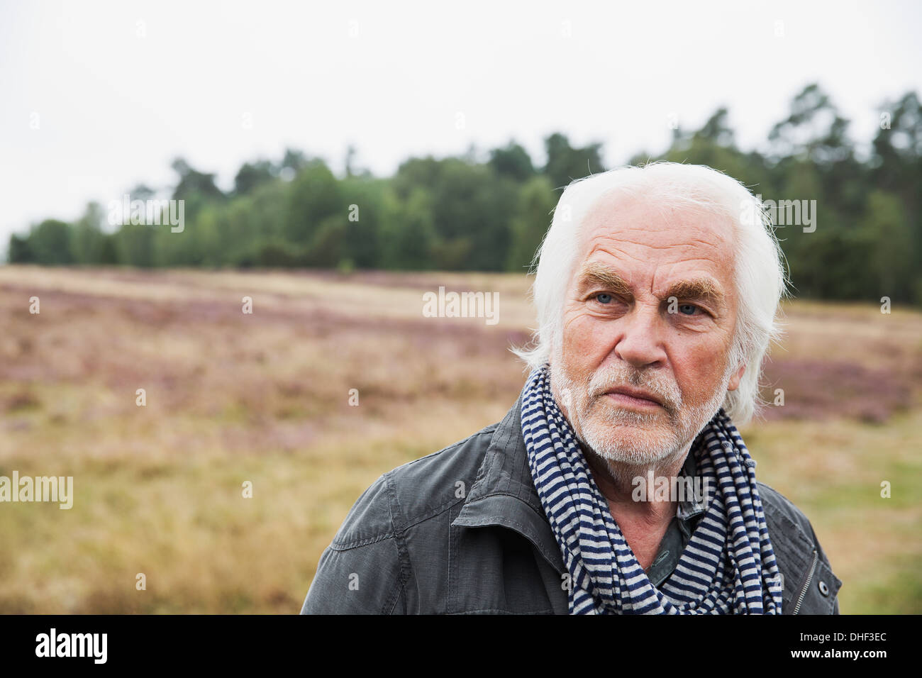 Mann graue haare -Fotos und -Bildmaterial in hoher Auflösung – Alamy