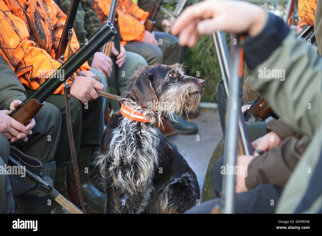 Frontreue -Fotos und -Bildmaterial in hoher Auflösung – Alamy