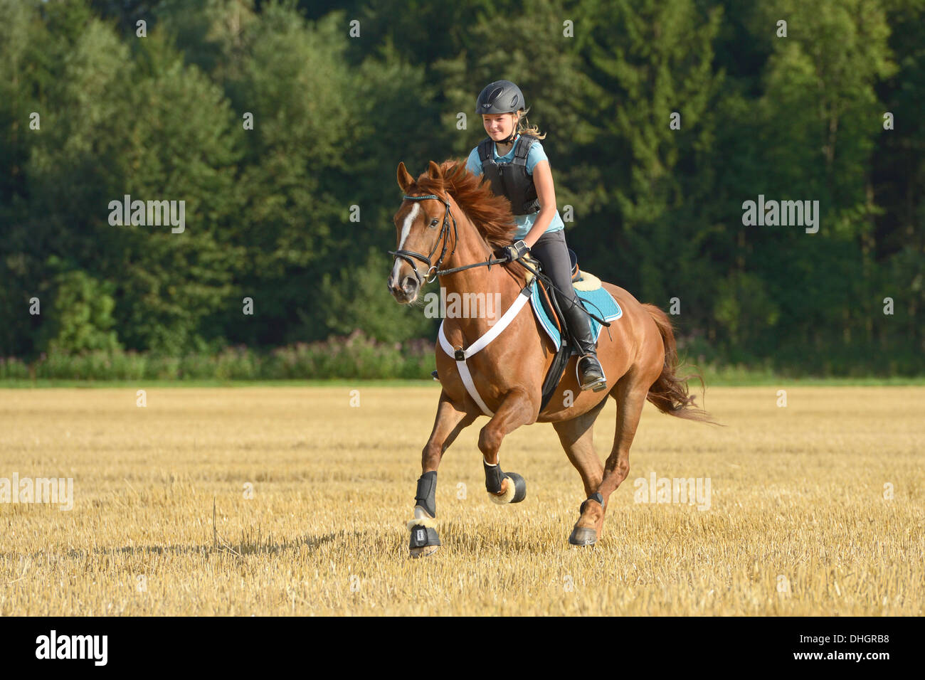 Mädchen mit einem pferd auf dem feld -Fotos und -Bildmaterial in hoher ...