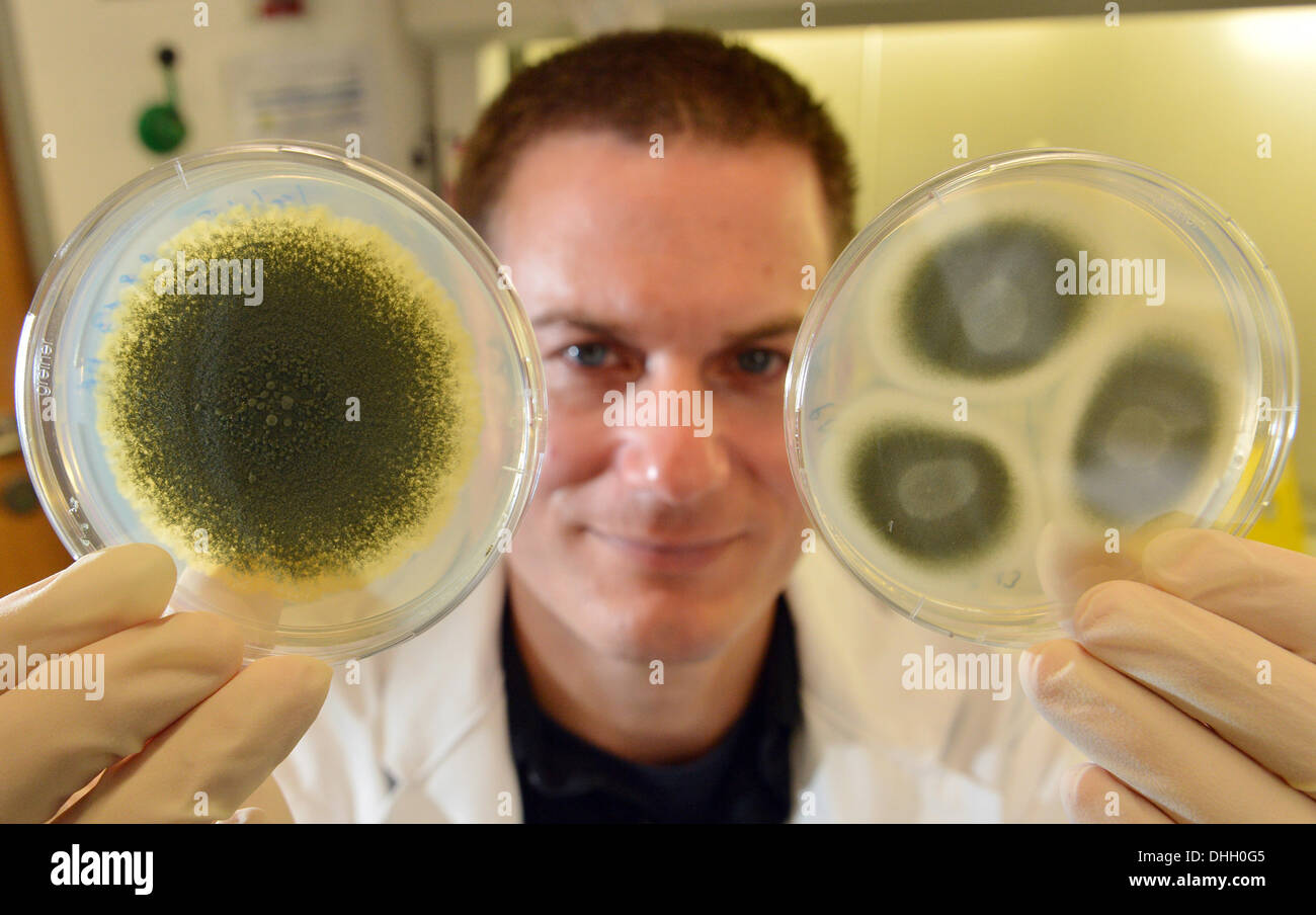 Schmidt heydt -Fotos und -Bildmaterial in hoher Auflösung – Alamy