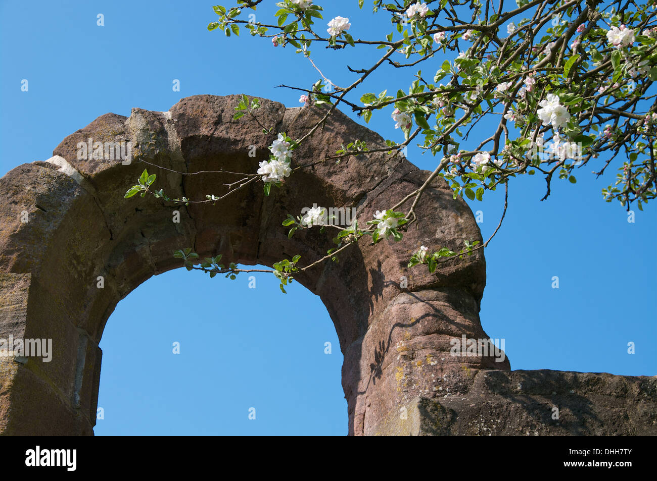 Romantischer garten -Fotos und -Bildmaterial in hoher Auflösung – Alamy