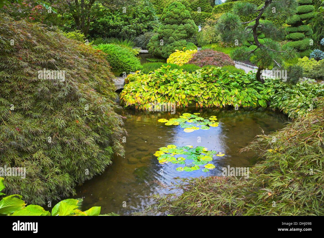 Small pond -Fotos und -Bildmaterial in hoher Auflösung – Alamy
