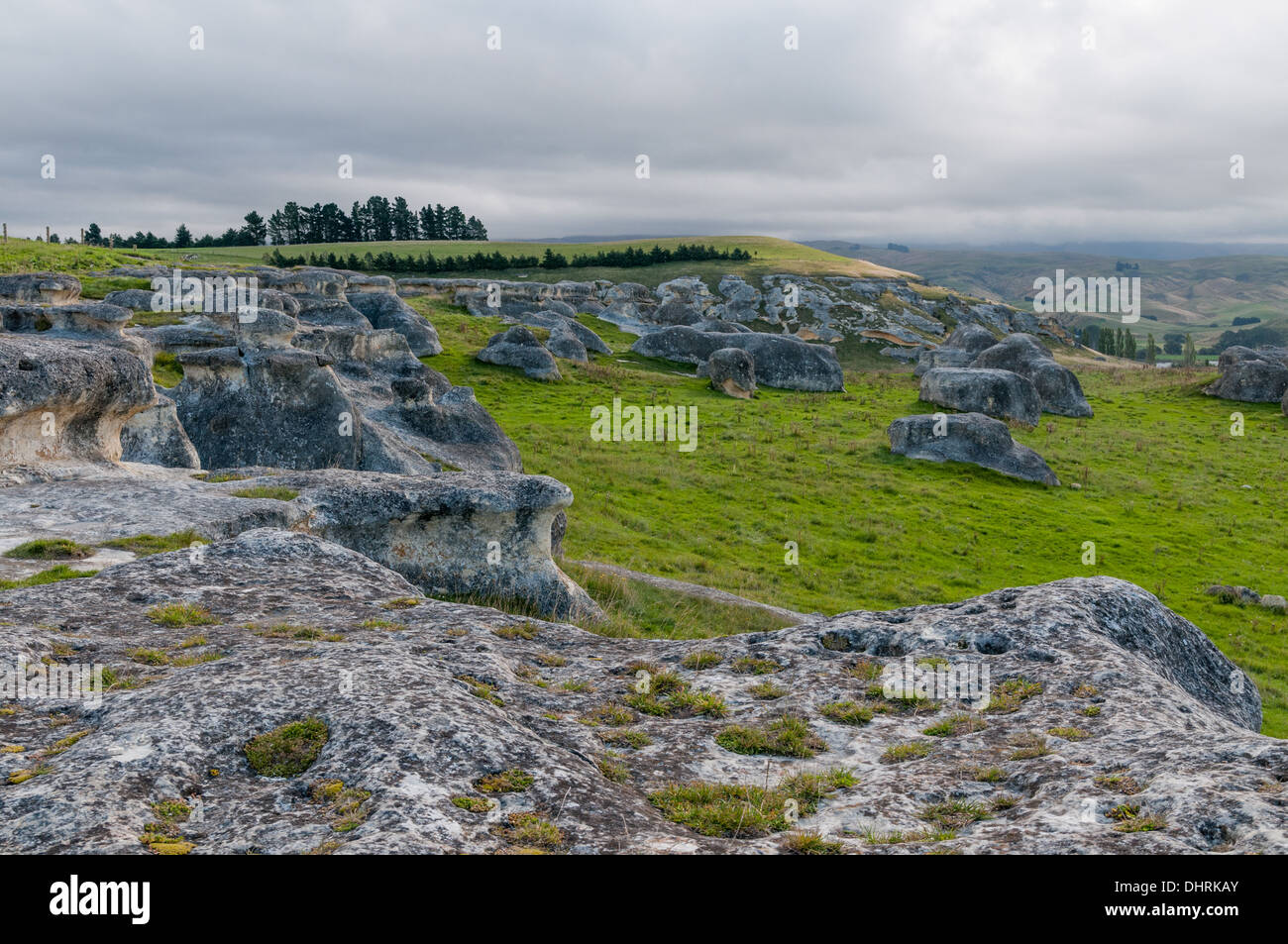 Die Elephant Rocks zwischen Ngapara und Duntroon, Waitaki Valley, Otago ...
