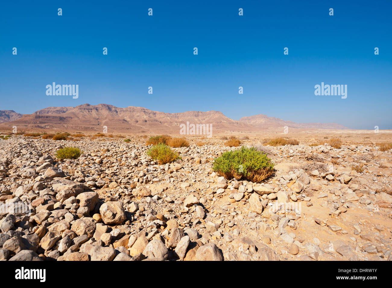 Das heilige land -Fotos und -Bildmaterial in hoher Auflösung – Alamy