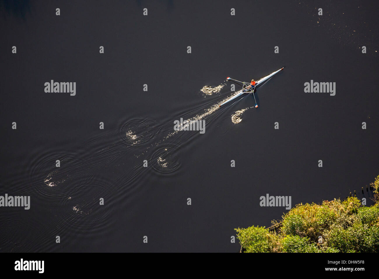 Niederlande, Hilversum, Mann im Kahn oder einzelner Scull Rudern. Eine ...