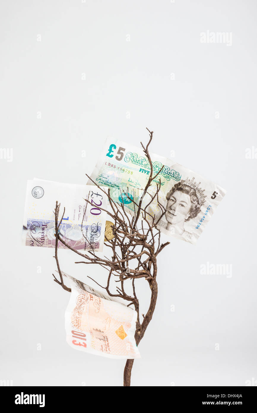 Geld im baum -Fotos und -Bildmaterial in hoher Auflösung – Alamy