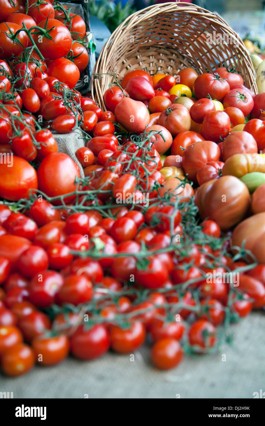 Lose tomaten -Fotos und -Bildmaterial in hoher Auflösung – Alamy
