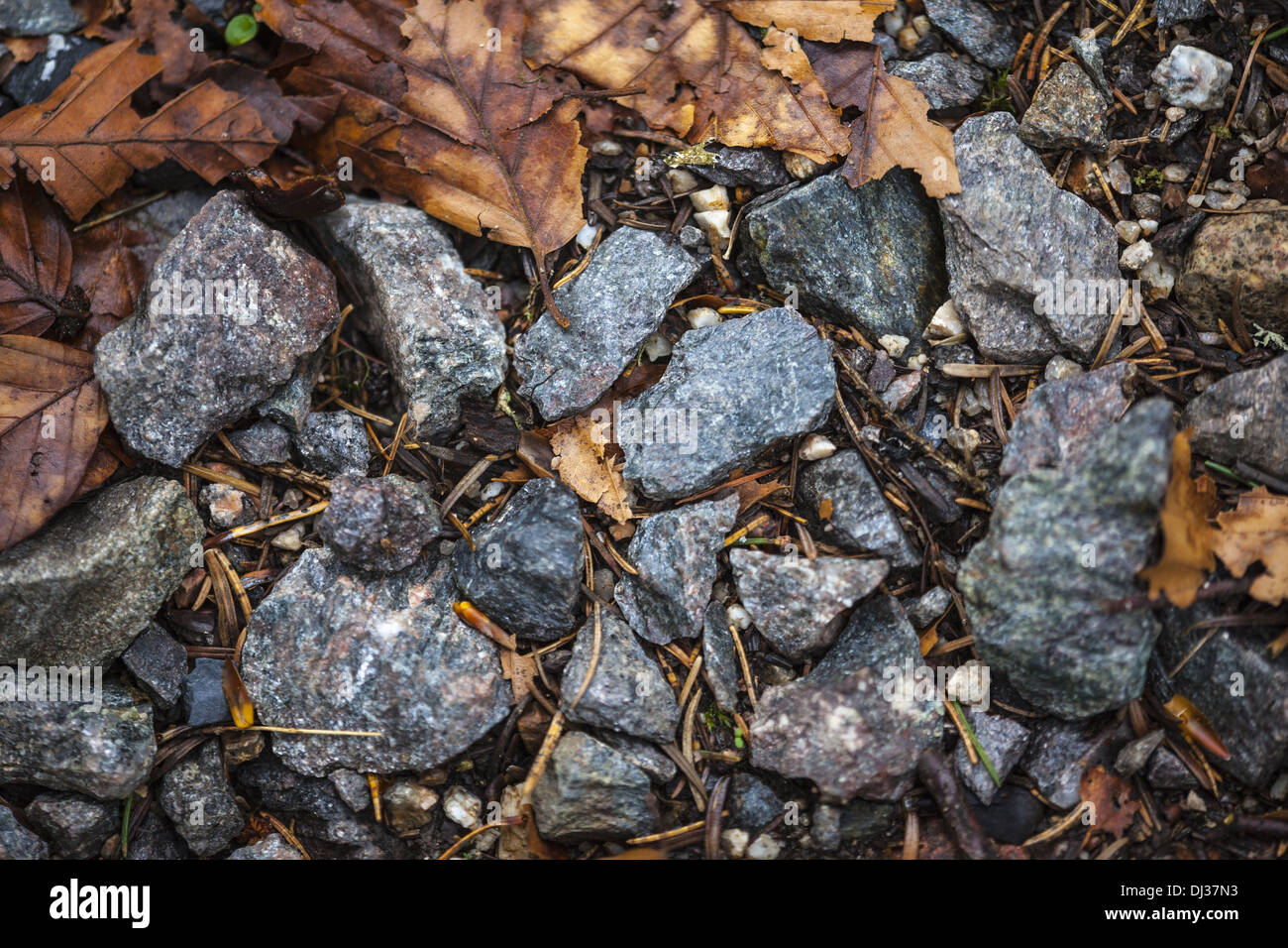 Dark blue stone texture -Fotos und -Bildmaterial in hoher Auflösung – Alamy