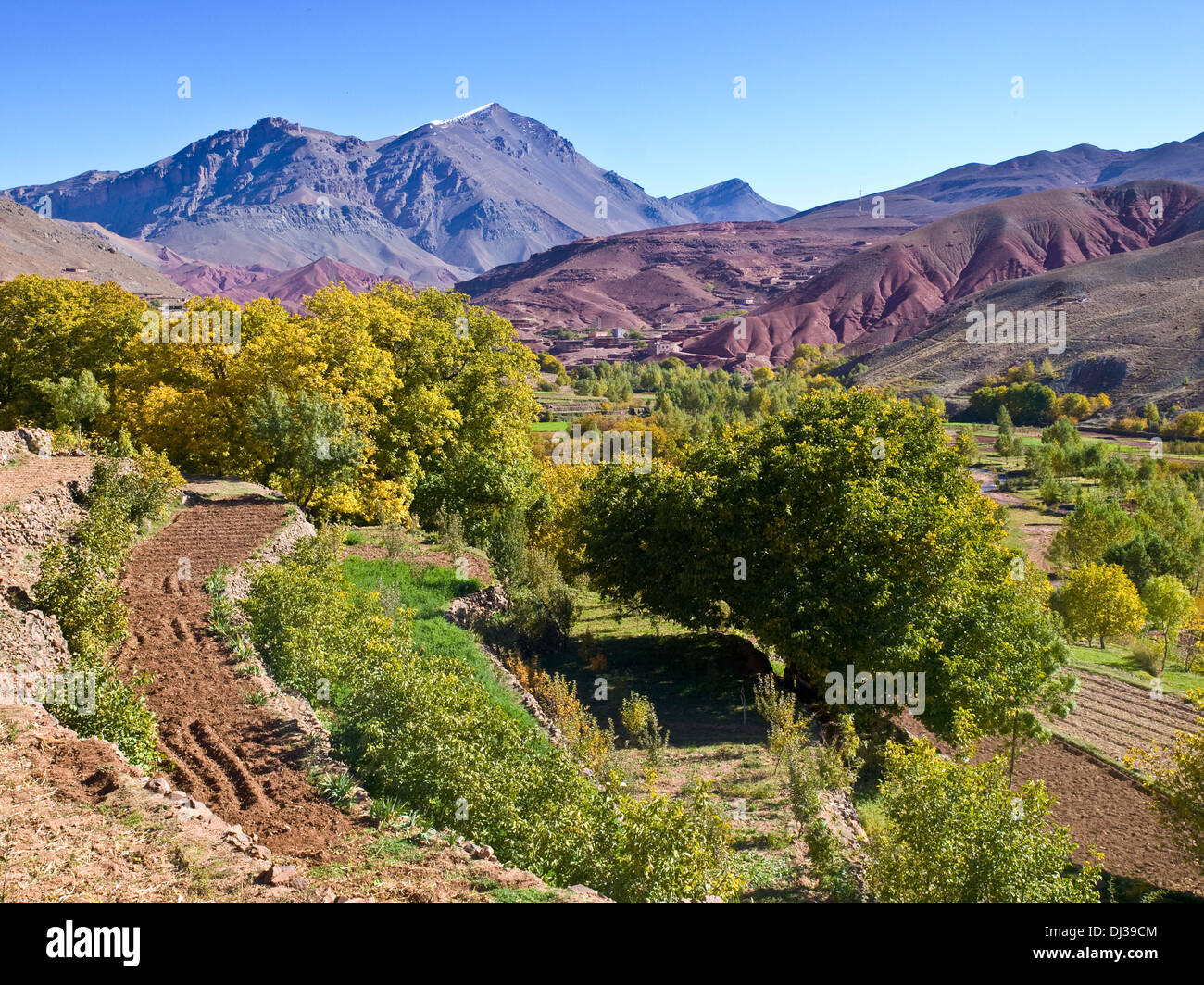 Das fruchtbare Tal des Tessaout in der M'Goun Region von Marokko, Atlas ...