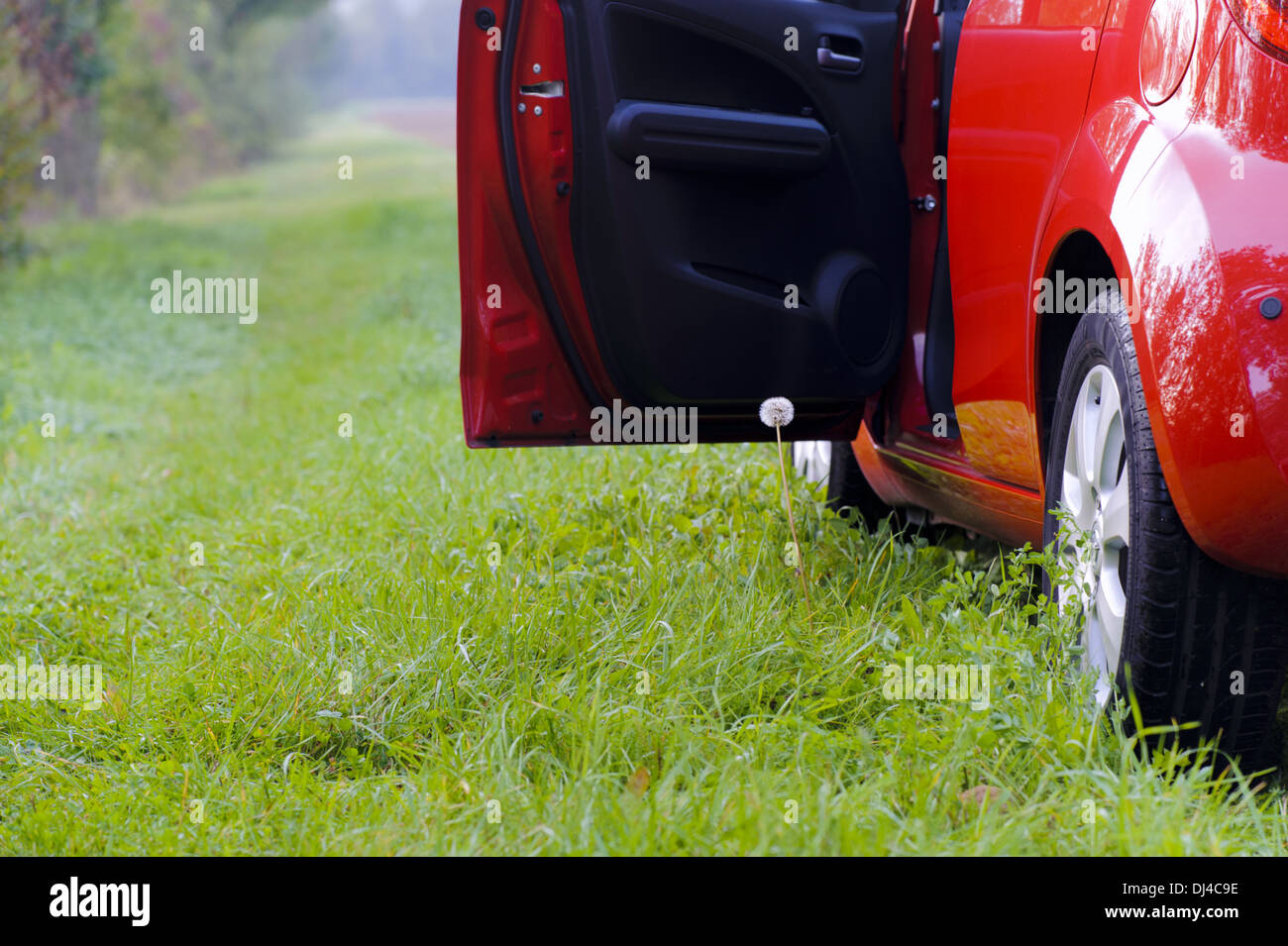 Auto auf dem rasen -Fotos und -Bildmaterial in hoher Auflösung – Alamy