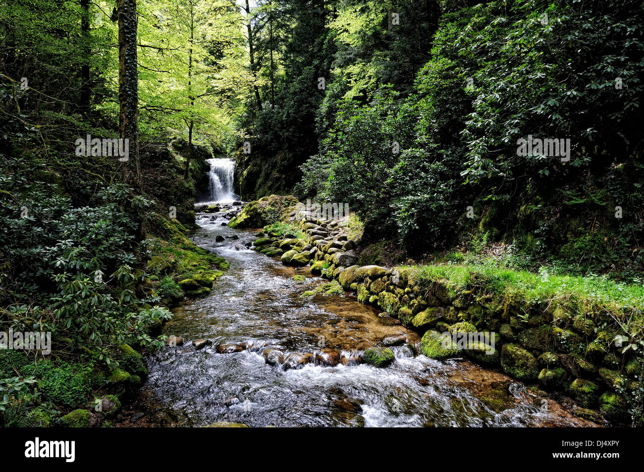 Geroldsauer wasserfall -Fotos und -Bildmaterial in hoher Auflösung – Alamy
