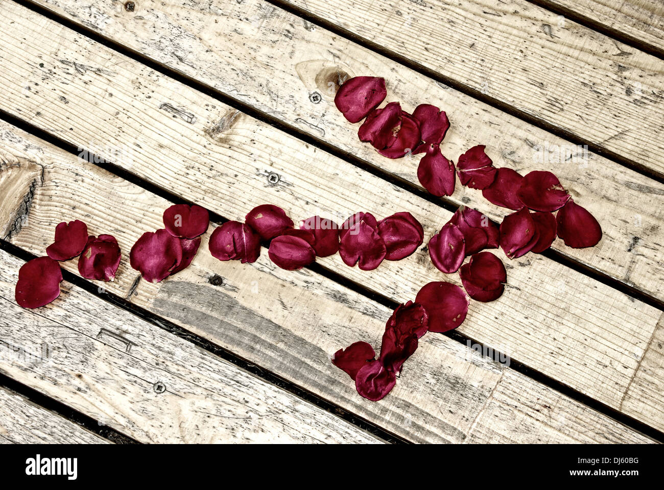 Den weg weisen -Fotos und -Bildmaterial in hoher Auflösung – Alamy