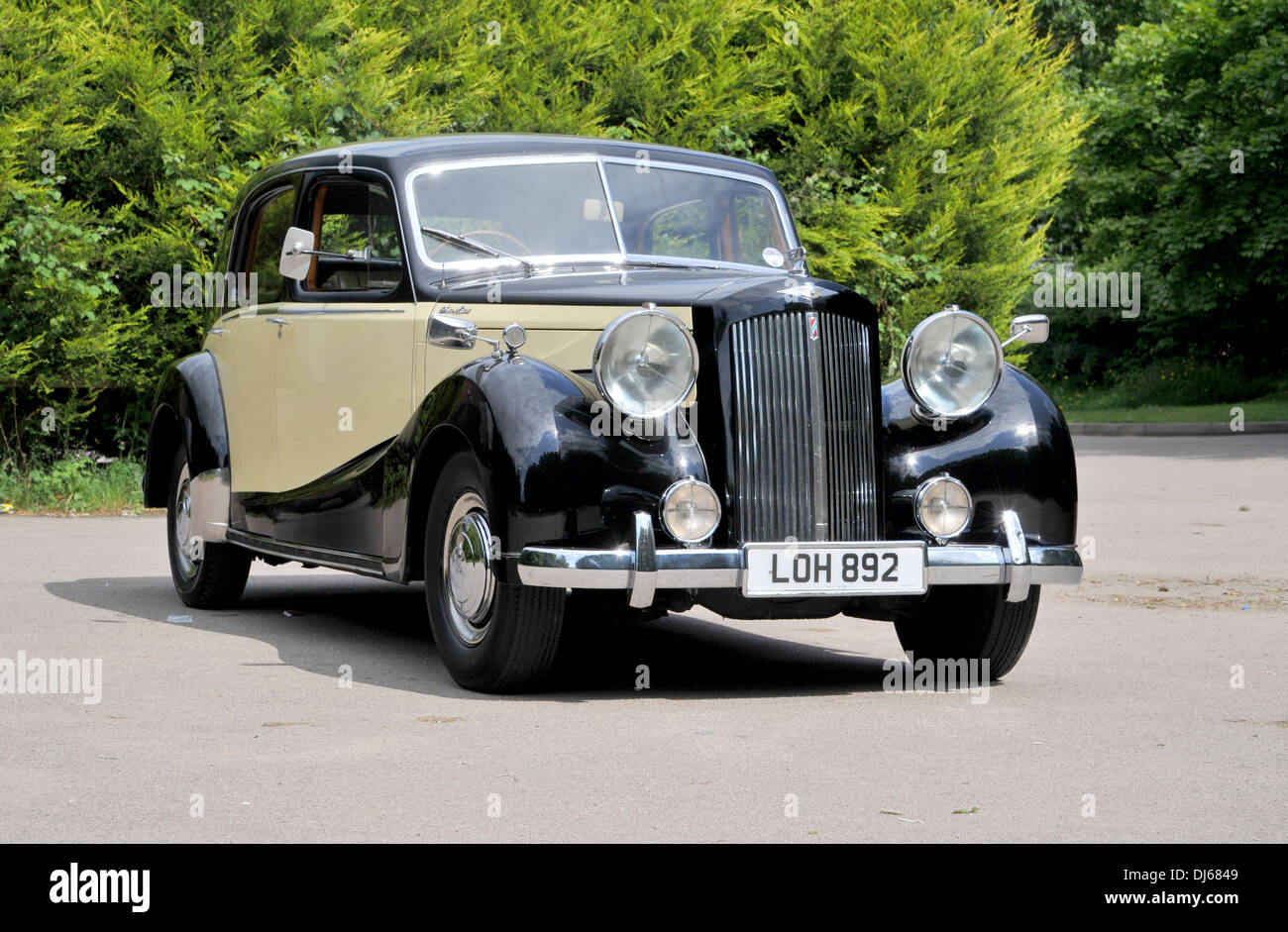 Austin sheerline -Fotos und -Bildmaterial in hoher Auflösung – Alamy
