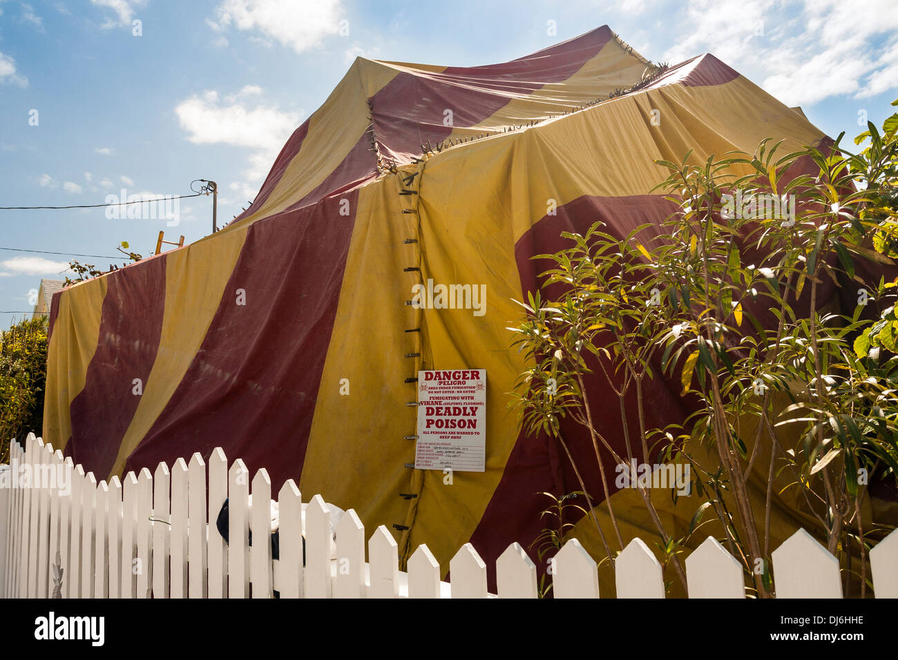 Begasung von einem Haus. Ein buntes Zelt deckt ein Haus, wie es vergast ...