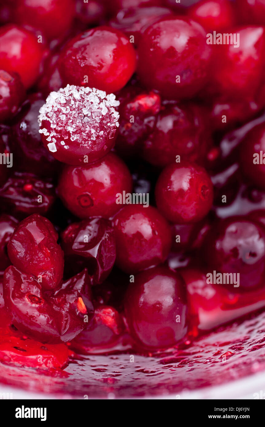 Preiselbeeren hautnah -Fotos und -Bildmaterial in hoher Auflösung – Alamy