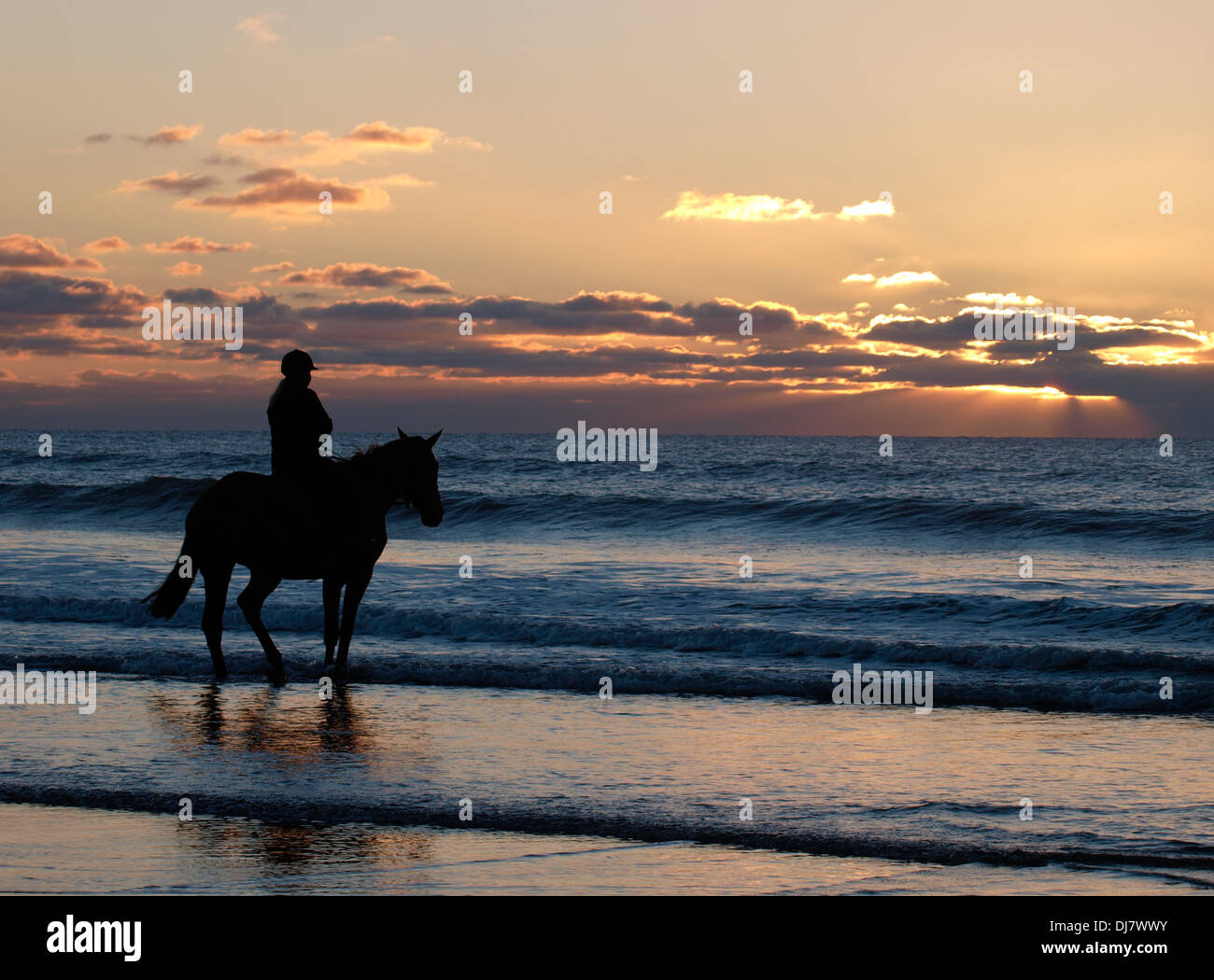 Reiter stehendes pferd -Fotos und -Bildmaterial in hoher Auflösung – Alamy