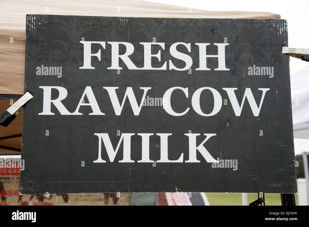 Kuh zum verkauf -Fotos und -Bildmaterial in hoher Auflösung – Alamy