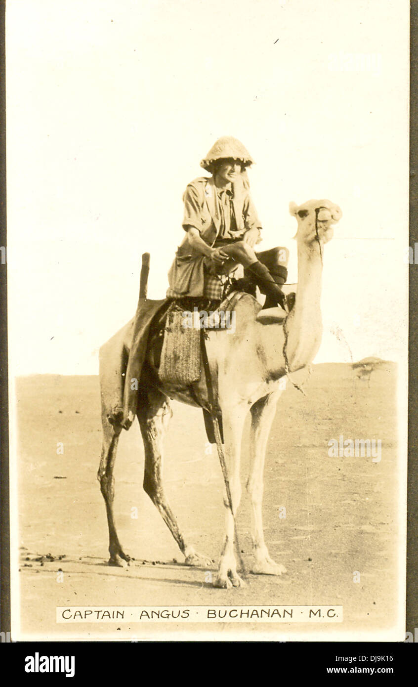 Angus buchanan -Fotos und -Bildmaterial in hoher Auflösung – Alamy