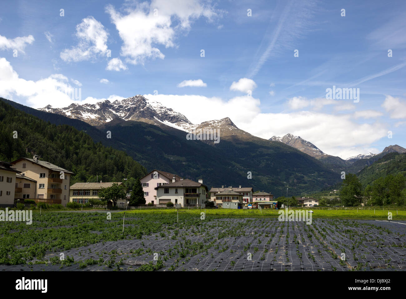 Val poschiavo -Fotos und -Bildmaterial in hoher Auflösung – Alamy
