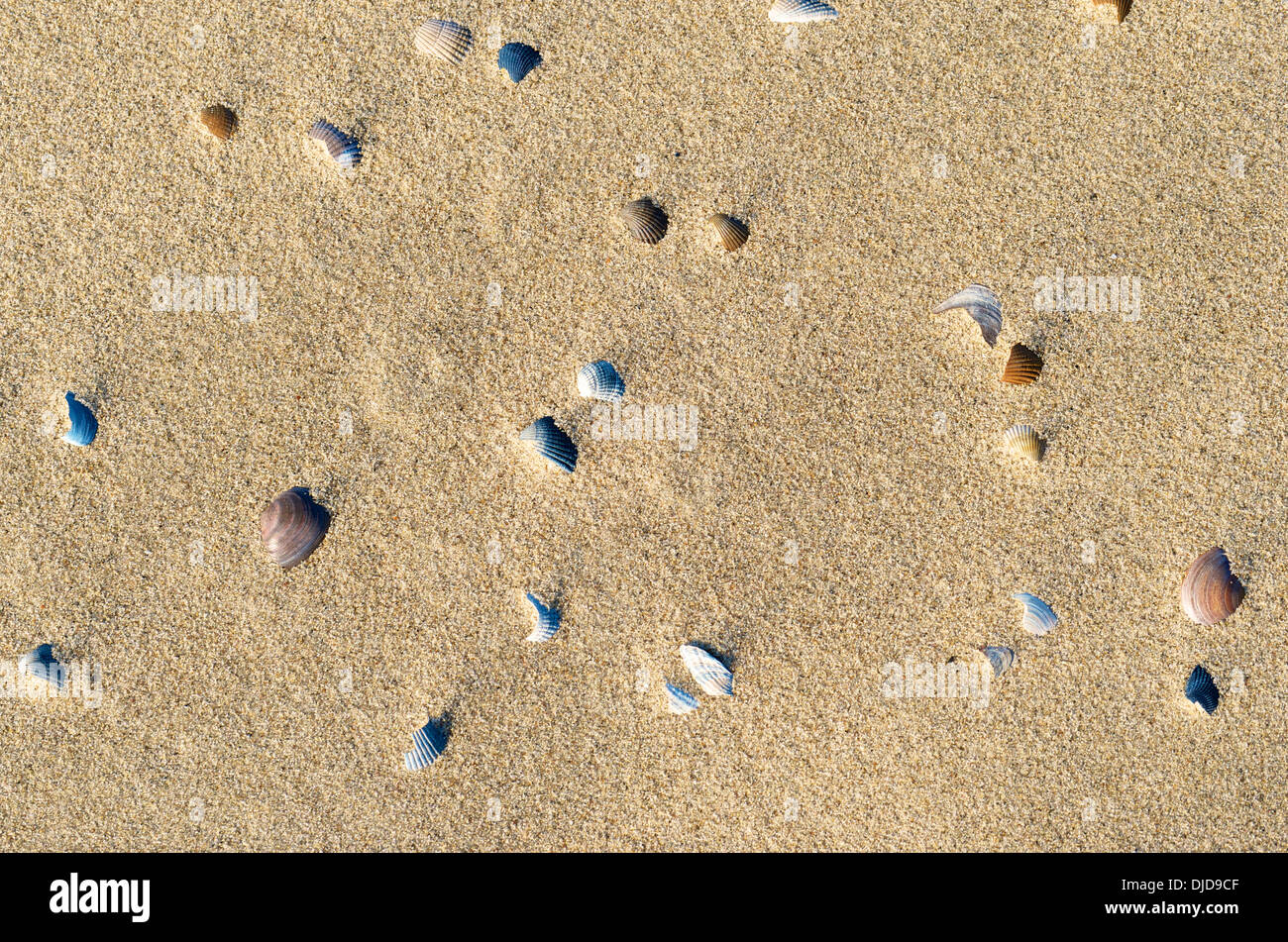 Burgh haamstede -Fotos und -Bildmaterial in hoher Auflösung – Alamy