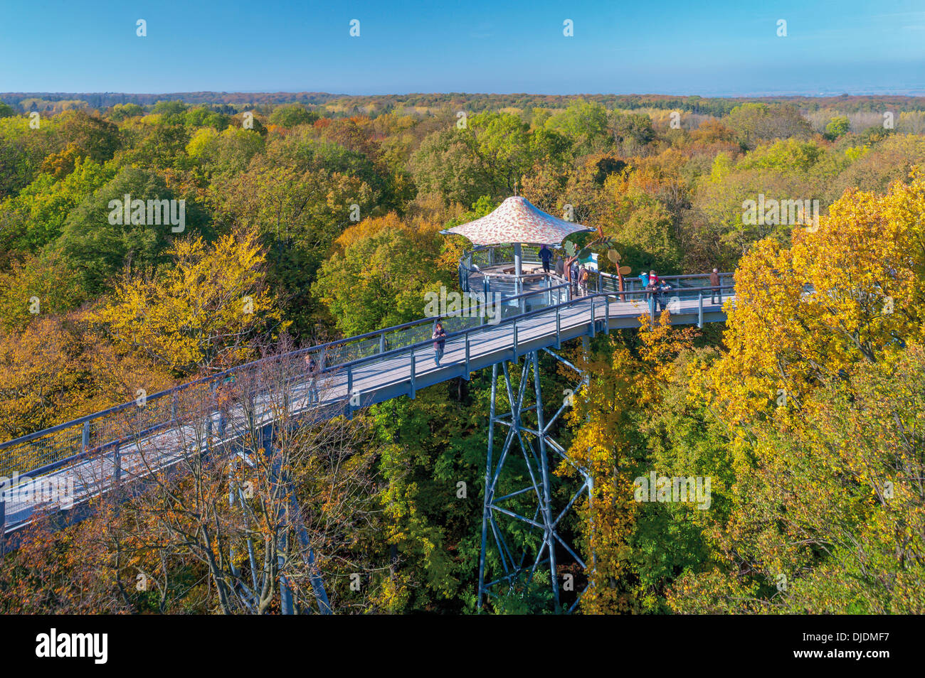 Treetop walk, Nationalpark Hainich, Bad Langensalza, Thüringen ...