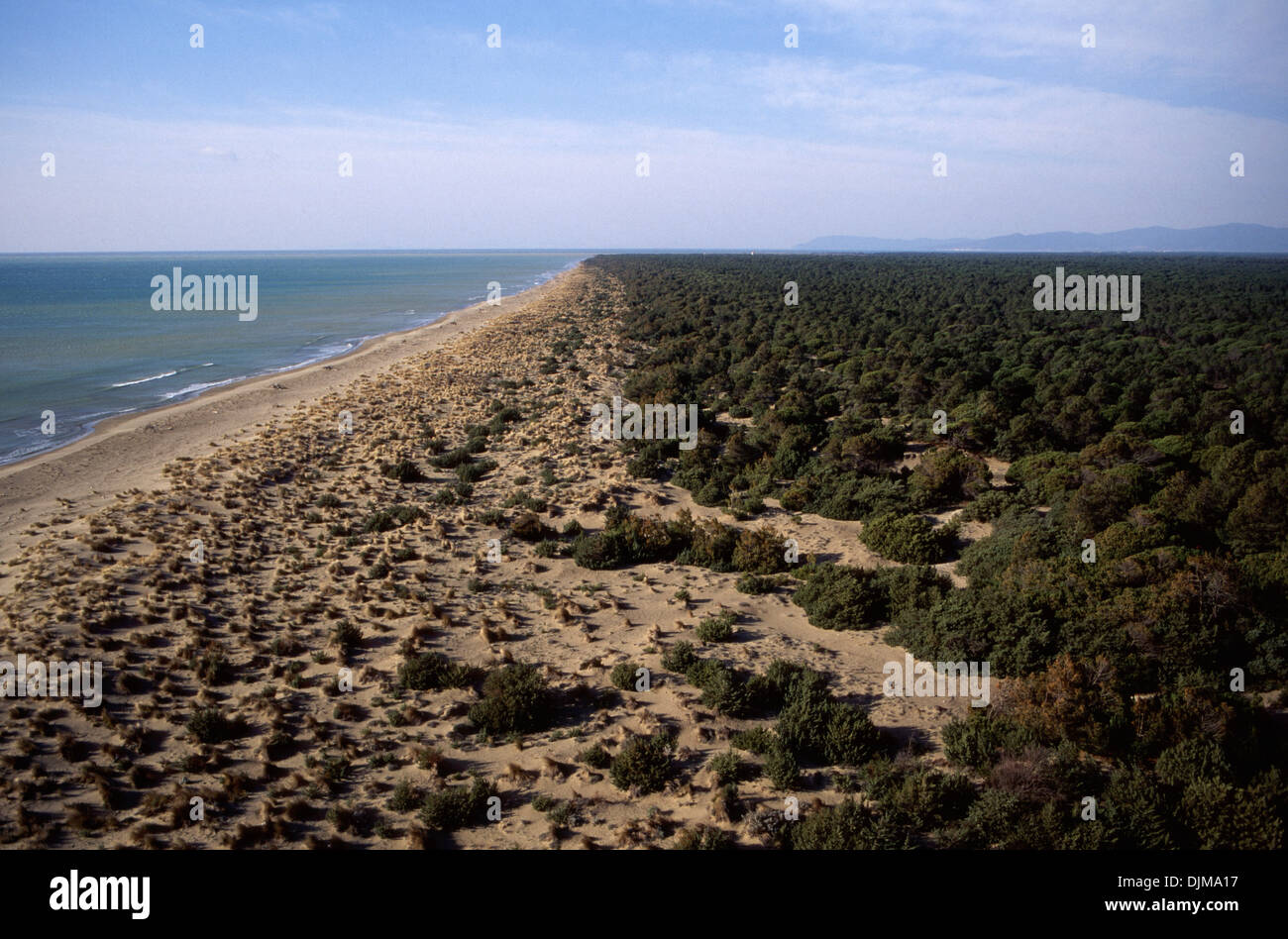 Alberese strand -Fotos und -Bildmaterial in hoher Auflösung – Alamy