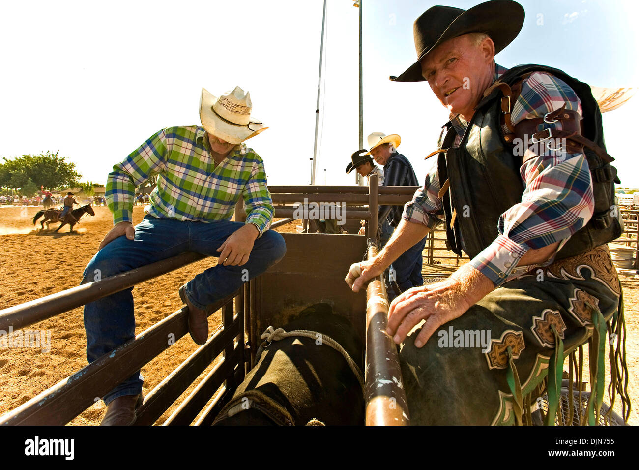 3. Oktober 2008 bereiten das Reiten ohne Sattel Wettbewerb an der ...