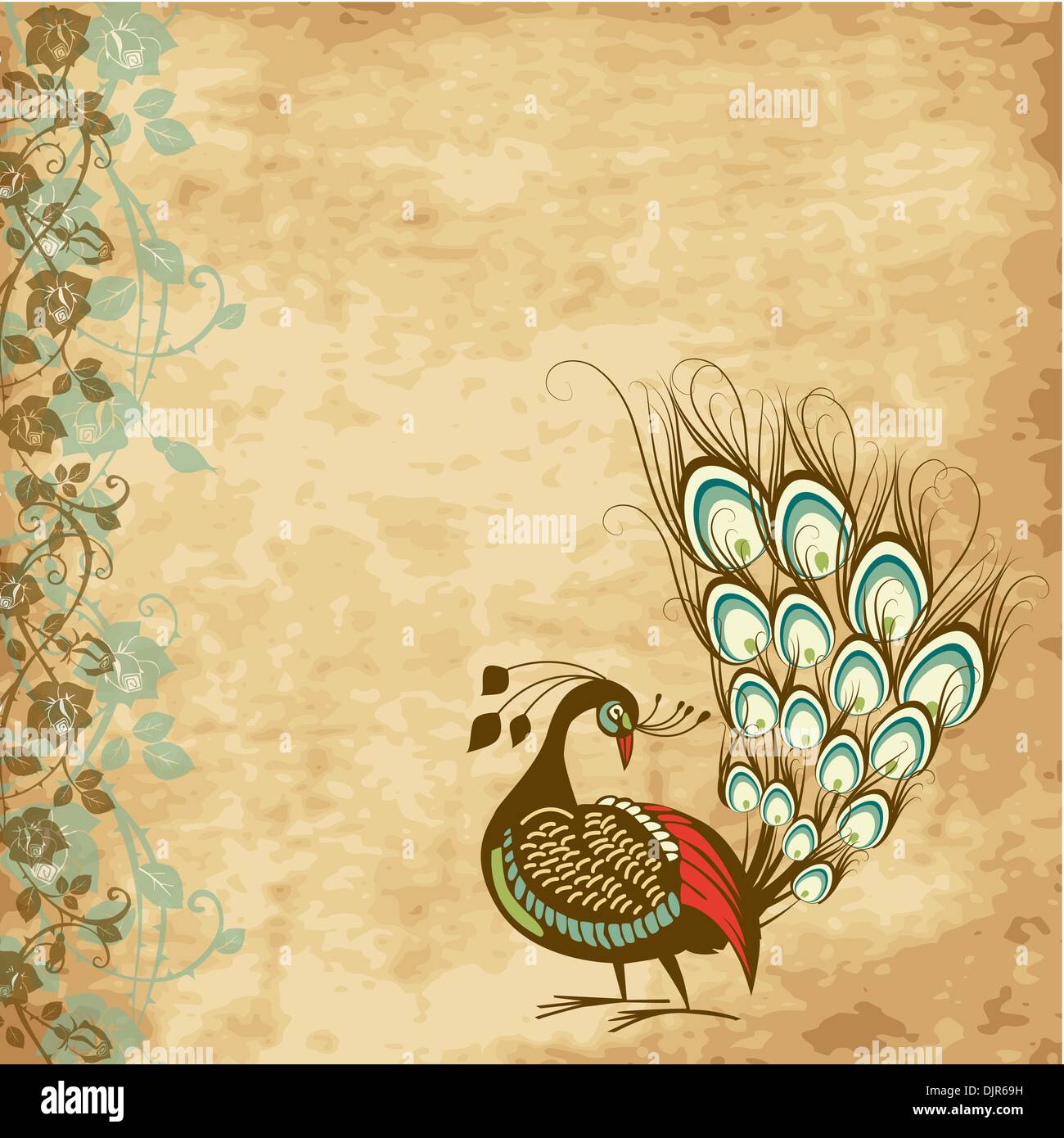 Pfauenfeder detail Stock-Vektorgrafiken kaufen - Alamy