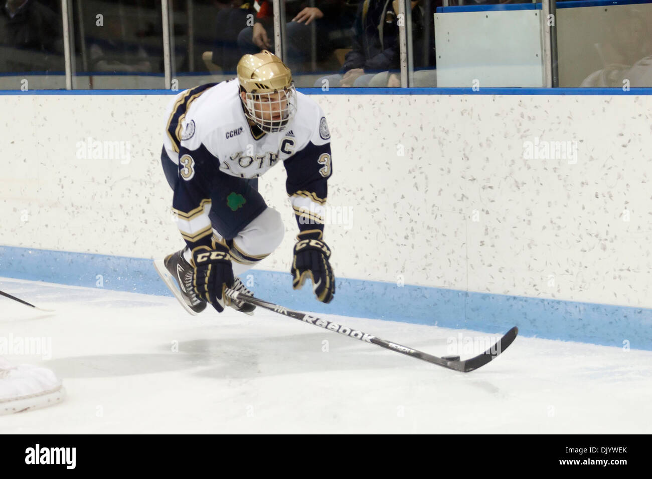 11. Dezember 2010 - South Bend, Indiana, Vereinigte Staaten von Amerika ...