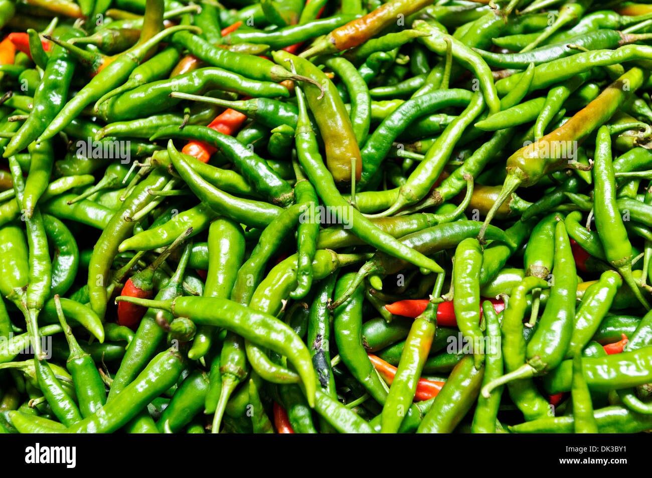 Grüne chilis -Fotos und -Bildmaterial in hoher Auflösung – Alamy