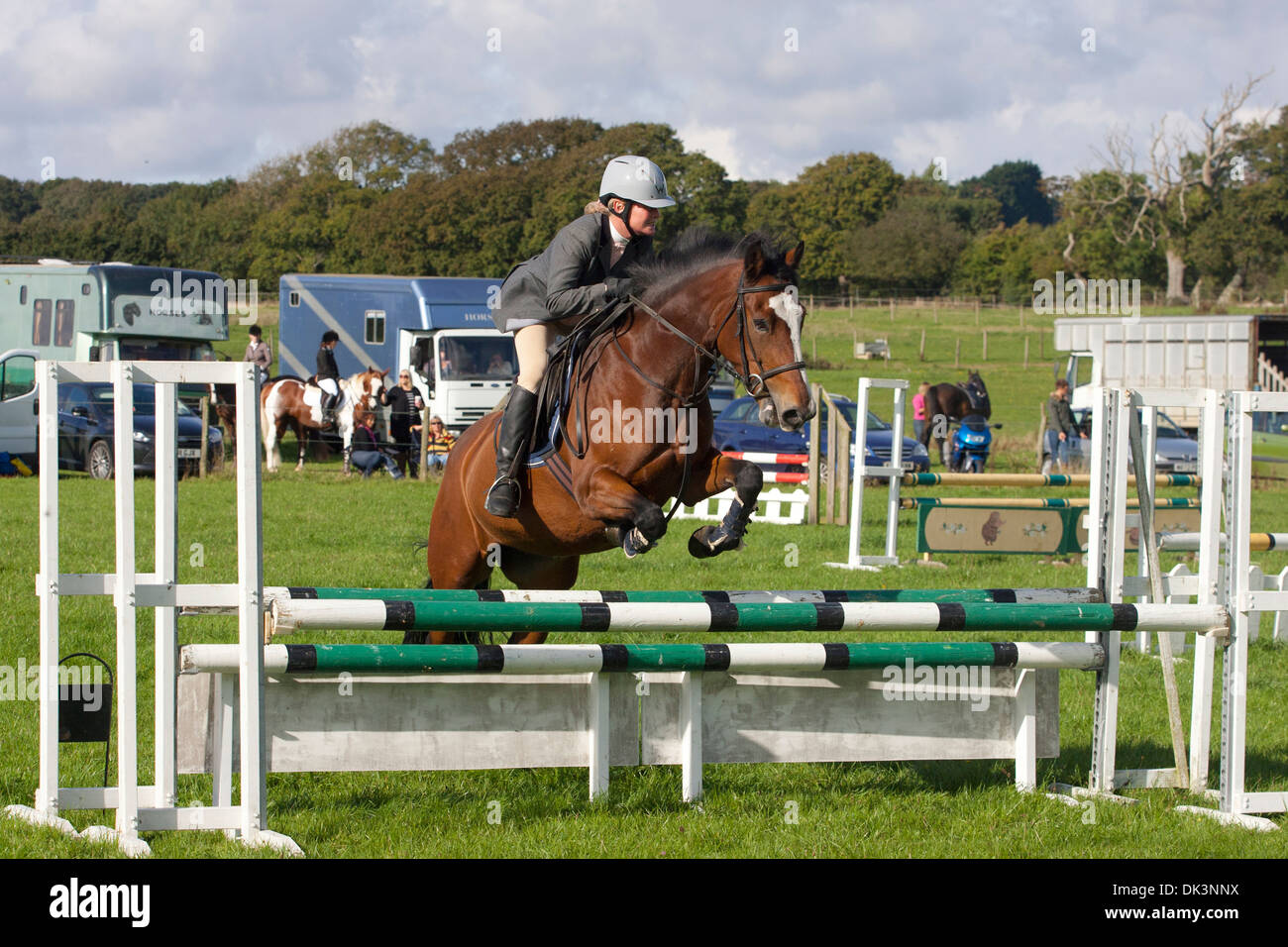 Pferd Vielseitigkeit Stockfotos und -bilder Kaufen - Alamy
