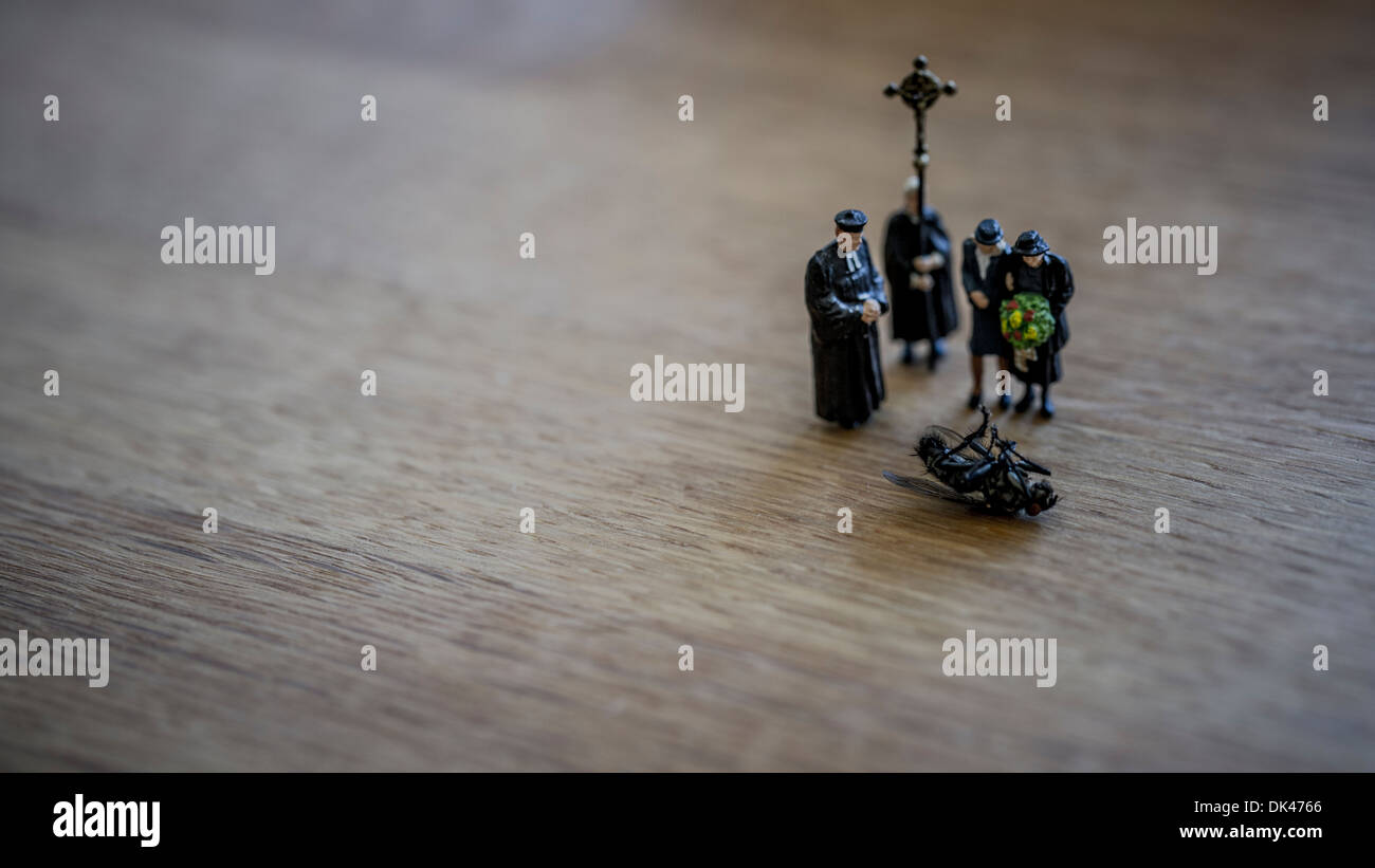 Die letzte fliege -Fotos und -Bildmaterial in hoher Auflösung – Alamy