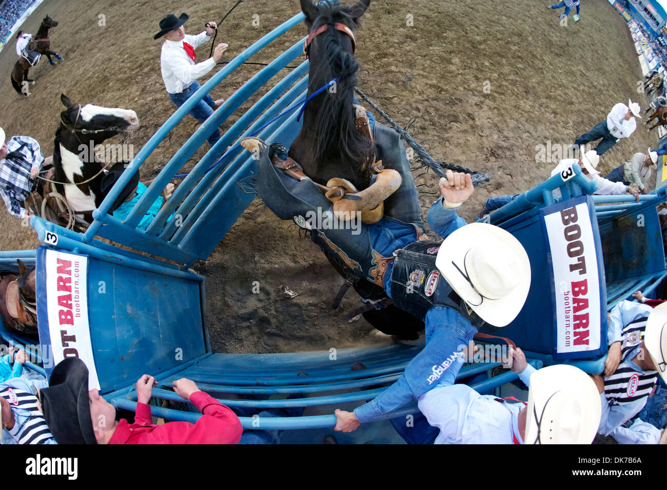 Davie rodeo -Fotos und -Bildmaterial in hoher Auflösung – Alamy