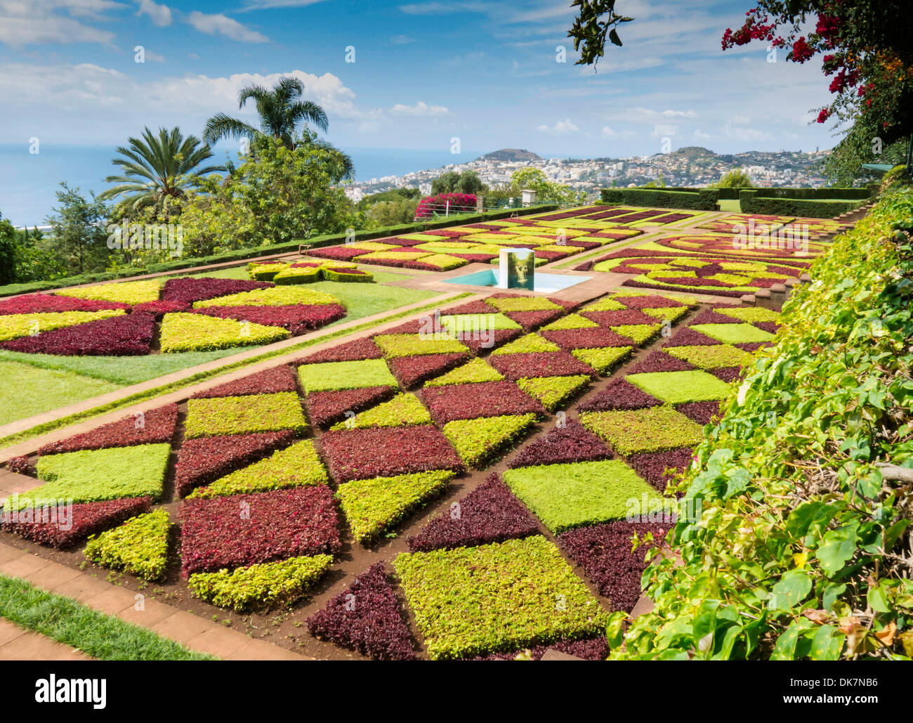 Funchal madeira -Fotos und -Bildmaterial in hoher Auflösung – Alamy