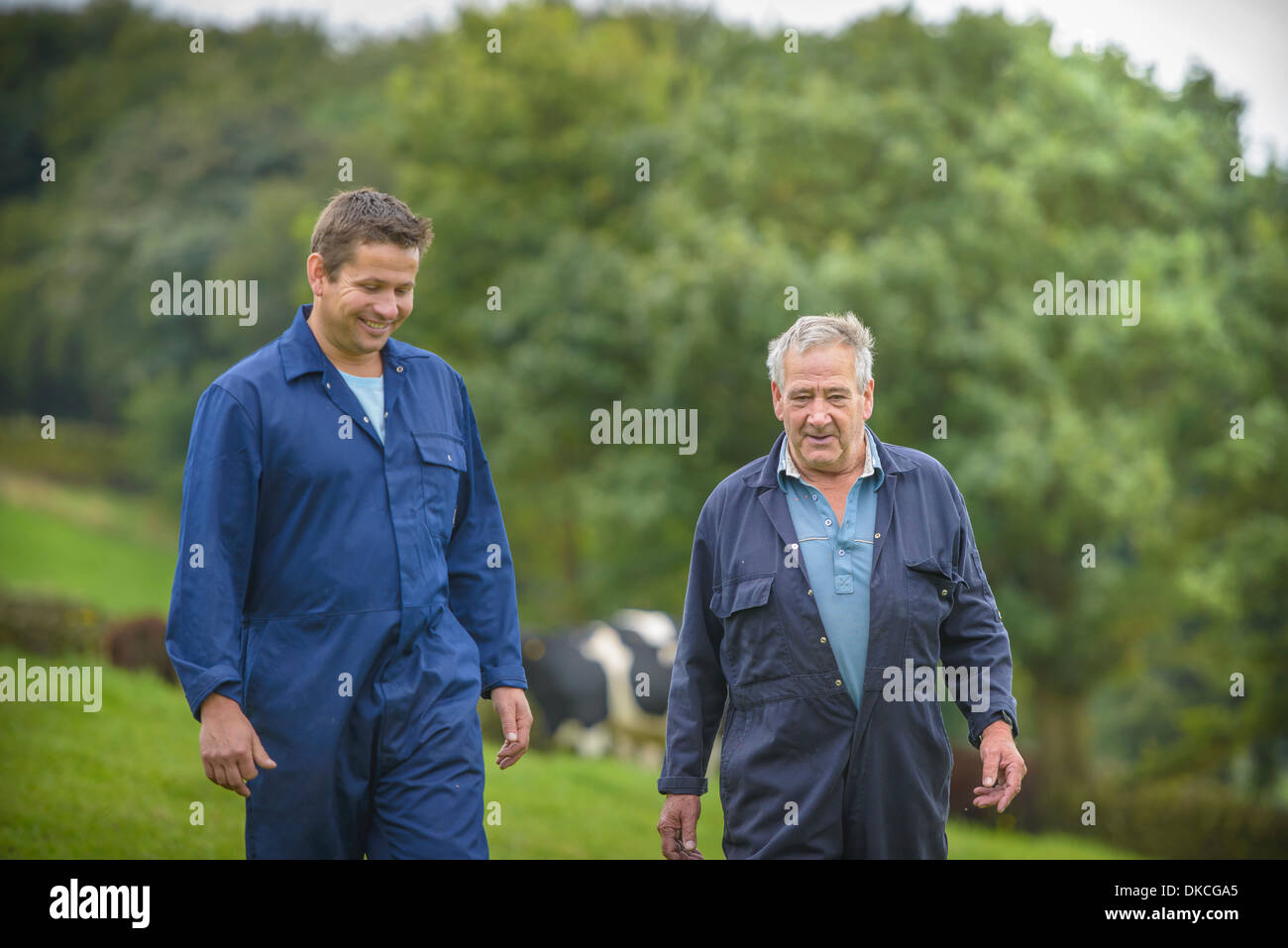 Zusammen Im Feld Stockfotos und -bilder Kaufen - Alamy