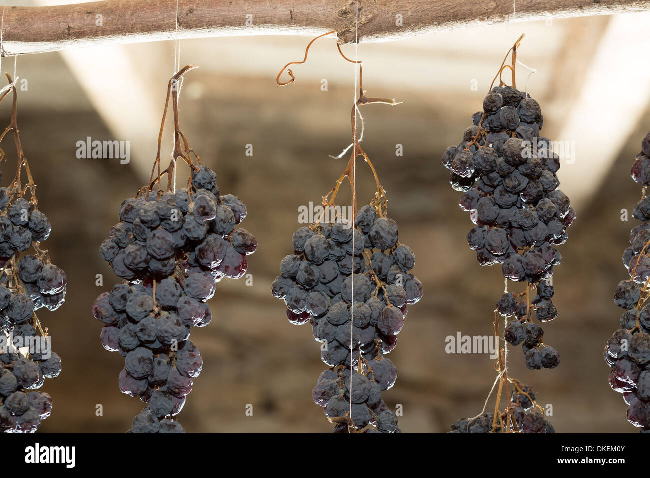 Trocknen von rosinen -Fotos und -Bildmaterial in hoher Auflösung – Alamy