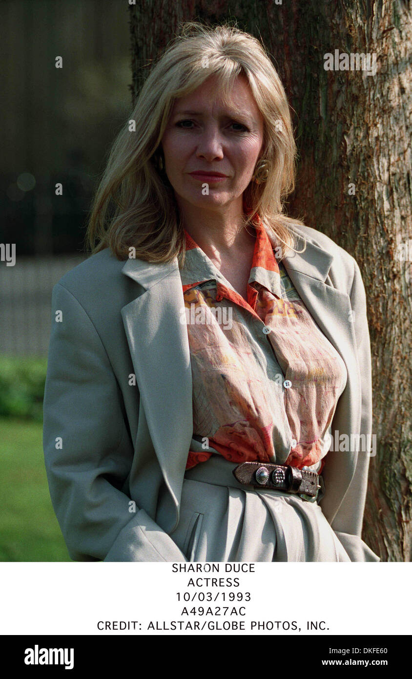 SHARON DUCE. ACTRESS.10/03/1993.A49A27AC. BILDNACHWEIS: ALLSTAR ...
